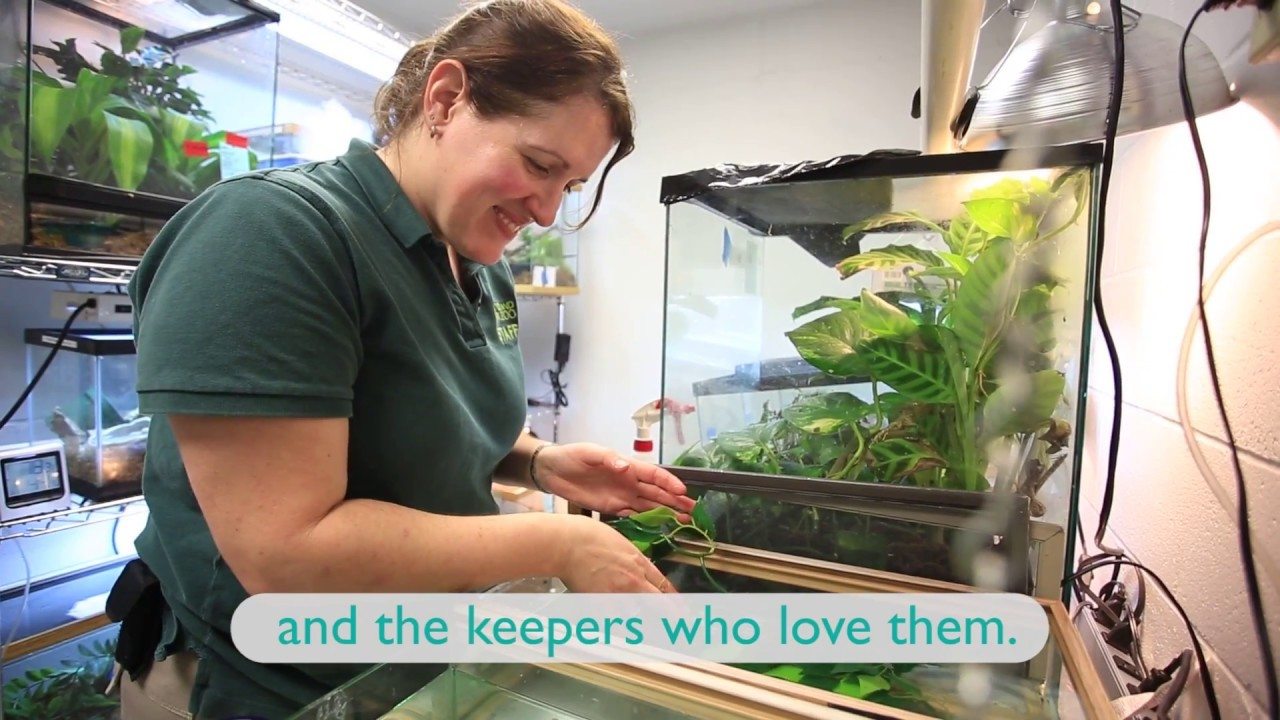 A Sign of Hope After Woodland Park Zoo Fire Seattle Fire Department ...