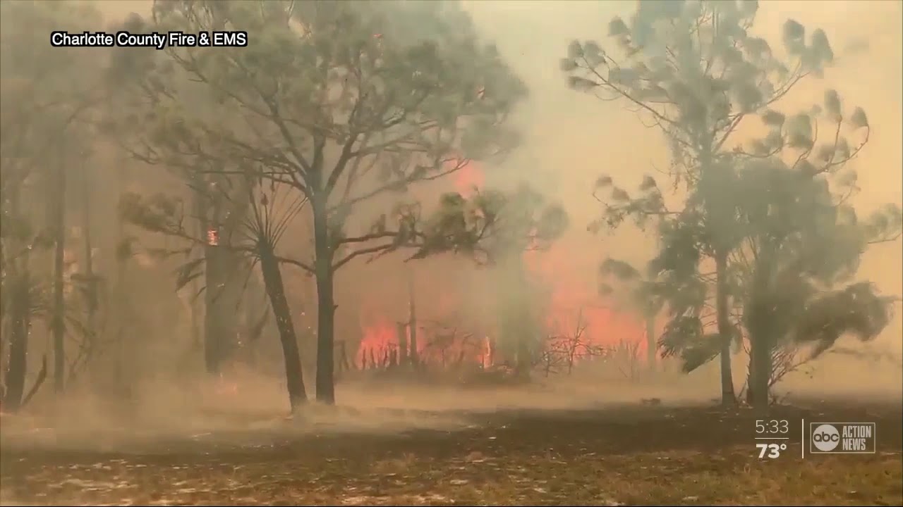 Brush fire in Southwest Florida prompts evacuations Seattle Fire ...