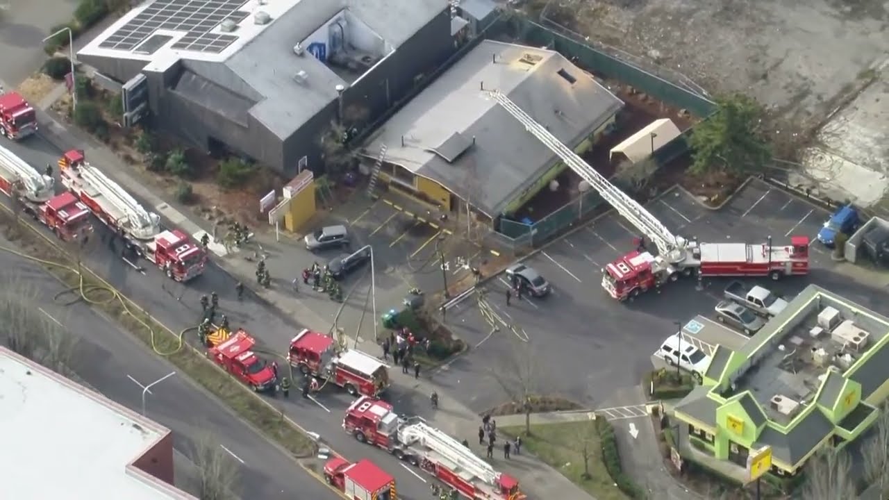 Aerials: Crews battle fire at Seattle dog daycare Seattle Fire Department Seattle Fire Buff ...