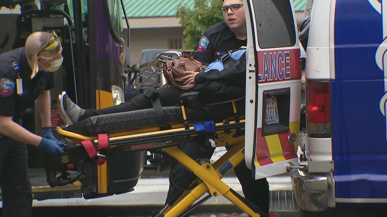 Man attacks people with hammer at Seattle Link light rail station ...