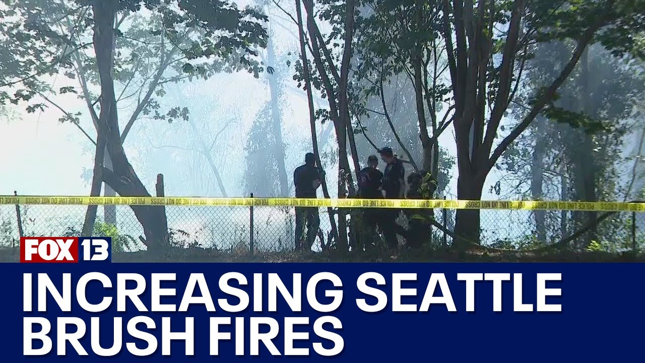 Brush fires surging in Seattle's dried up areas | FOX 13 Seattle Seattle Fire Department Seattle ...