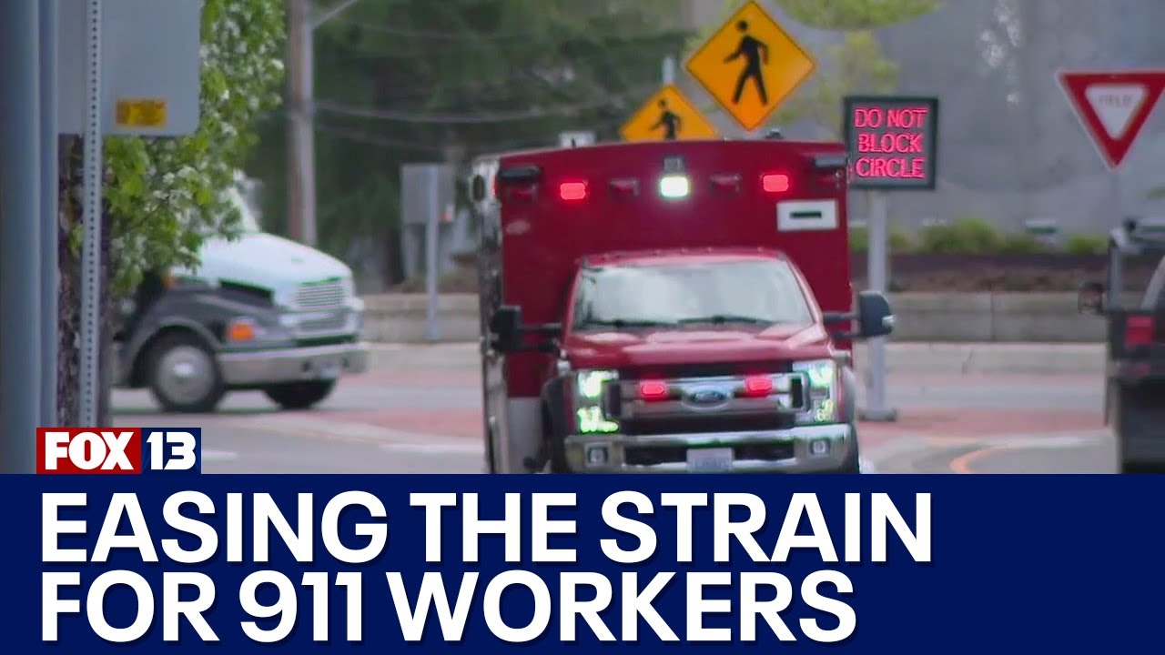 CARES program helps take strain off emergency departments | FOX 13 ...